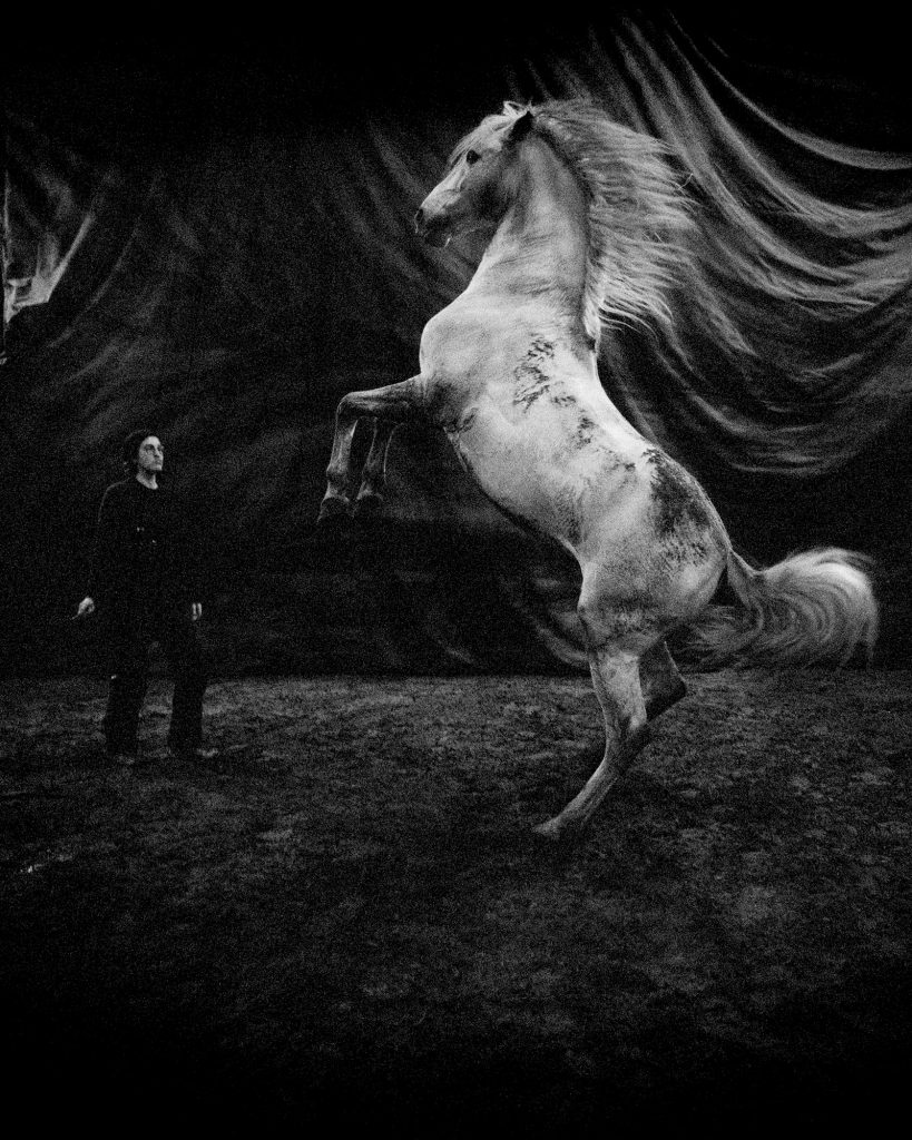 The Devils - Constance Jaeggi