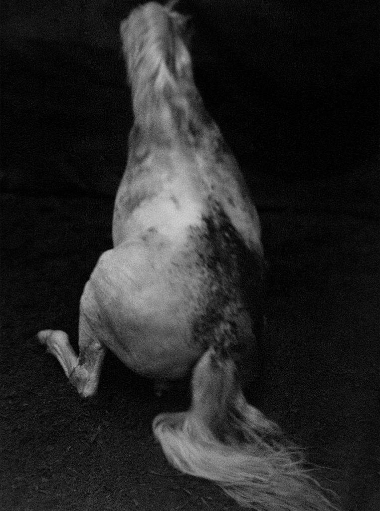 The Devils - Constance Jaeggi