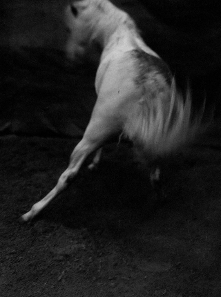 The Devils - Constance Jaeggi