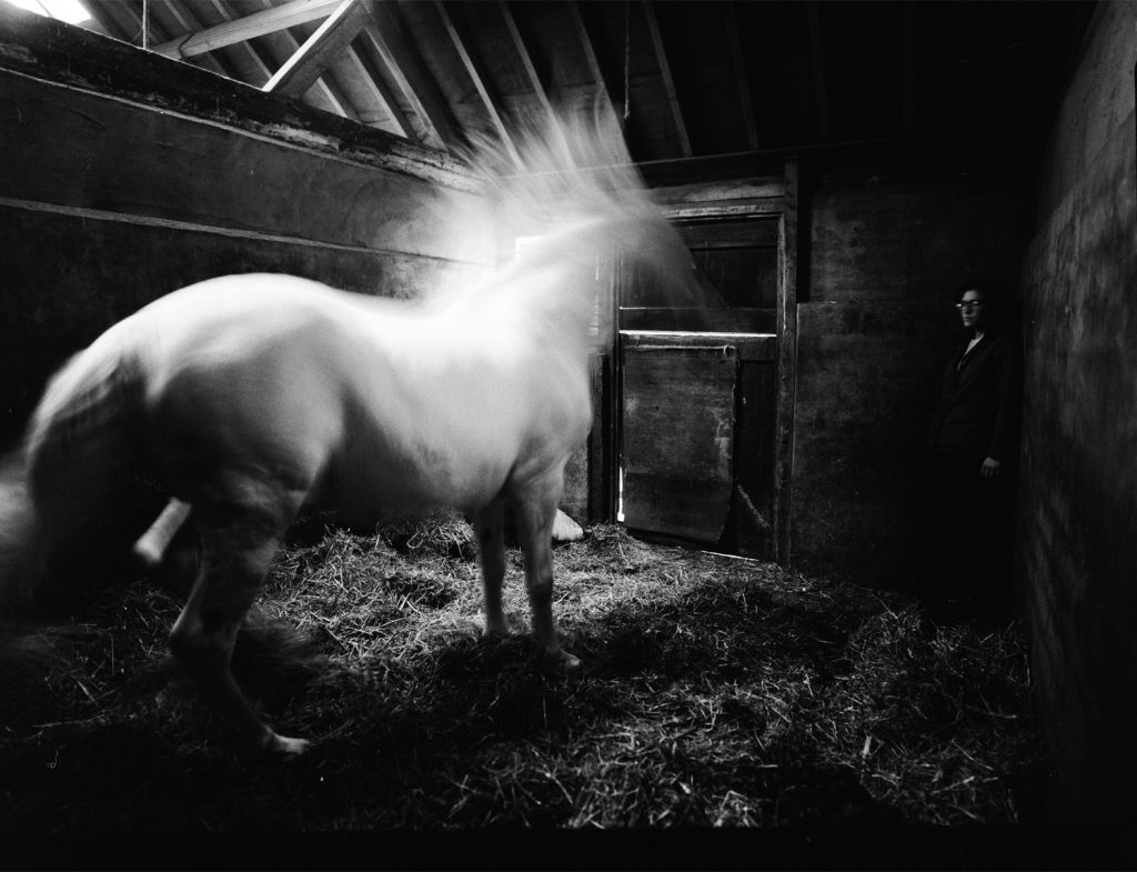 The Devils - Constance Jaeggi