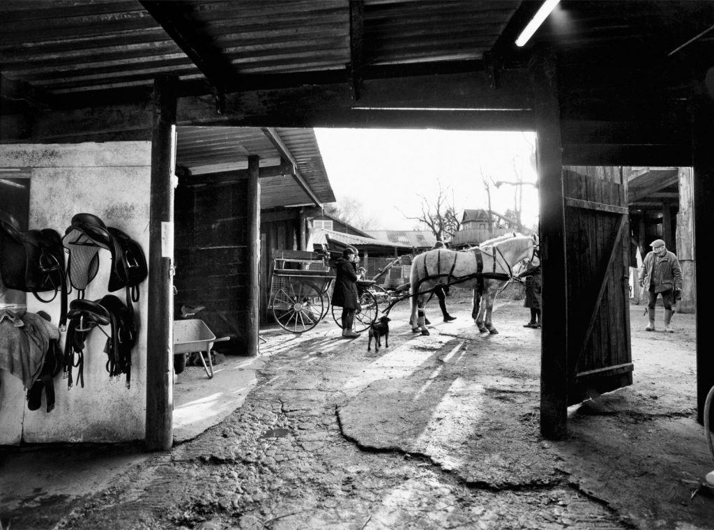 The Devils - Constance Jaeggi